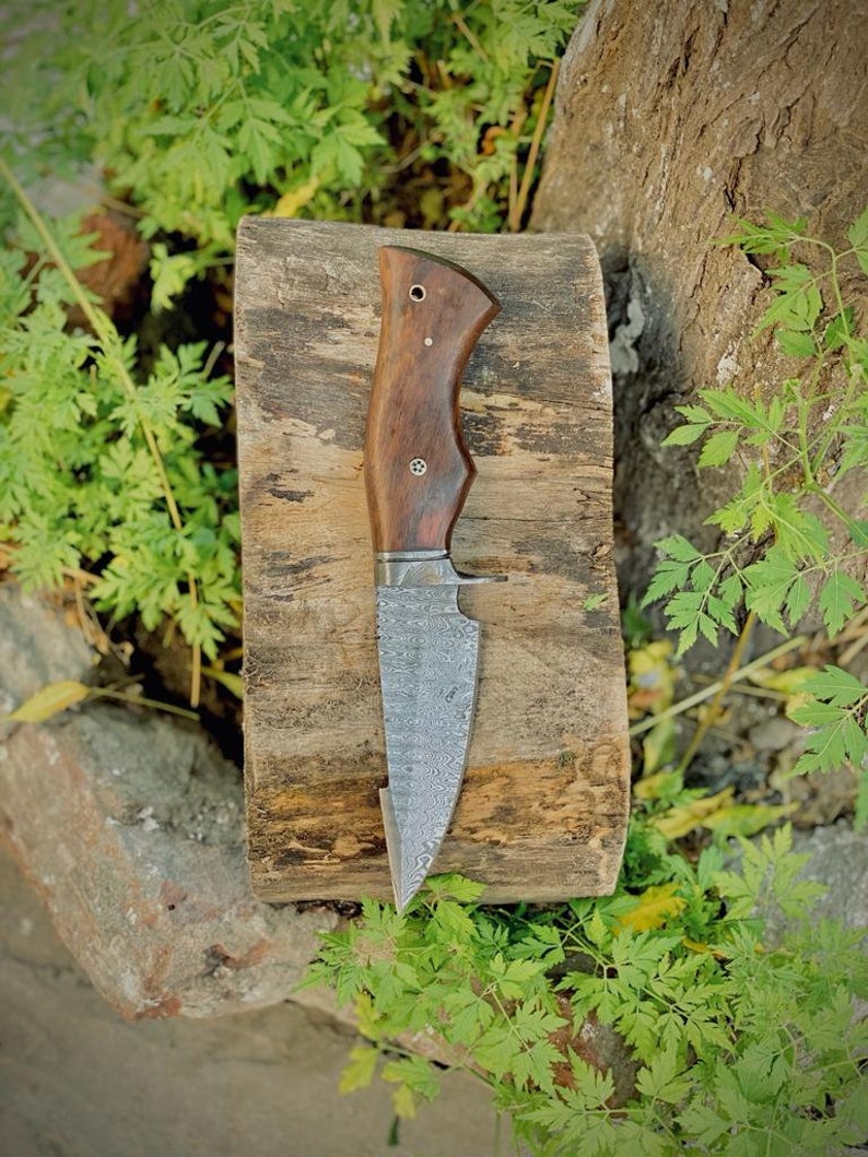 The Hunter's Favorite: 10-Inch Hunting Knife with Damascus Steel Blade ...