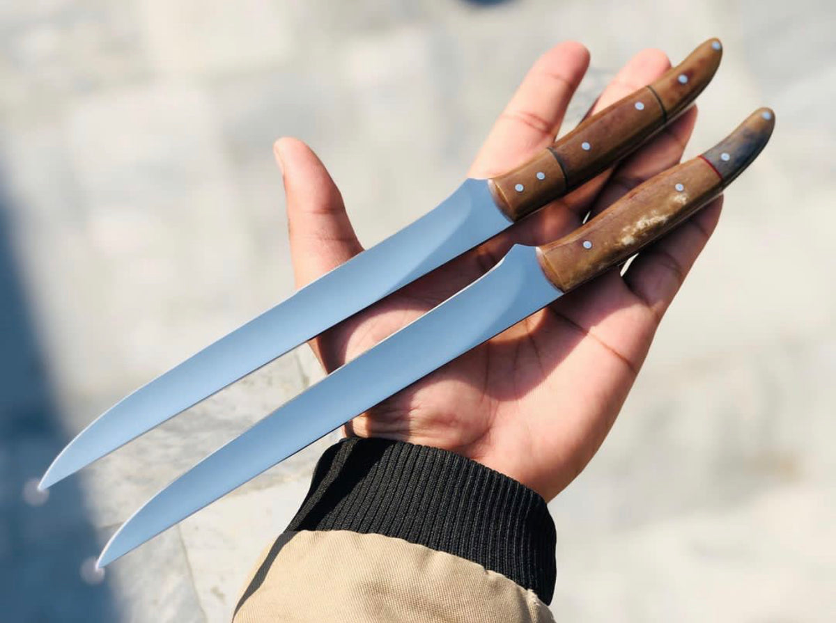 Premium Handcrafted Fillet Knife with Color Bone Handle and Leather Sh ...